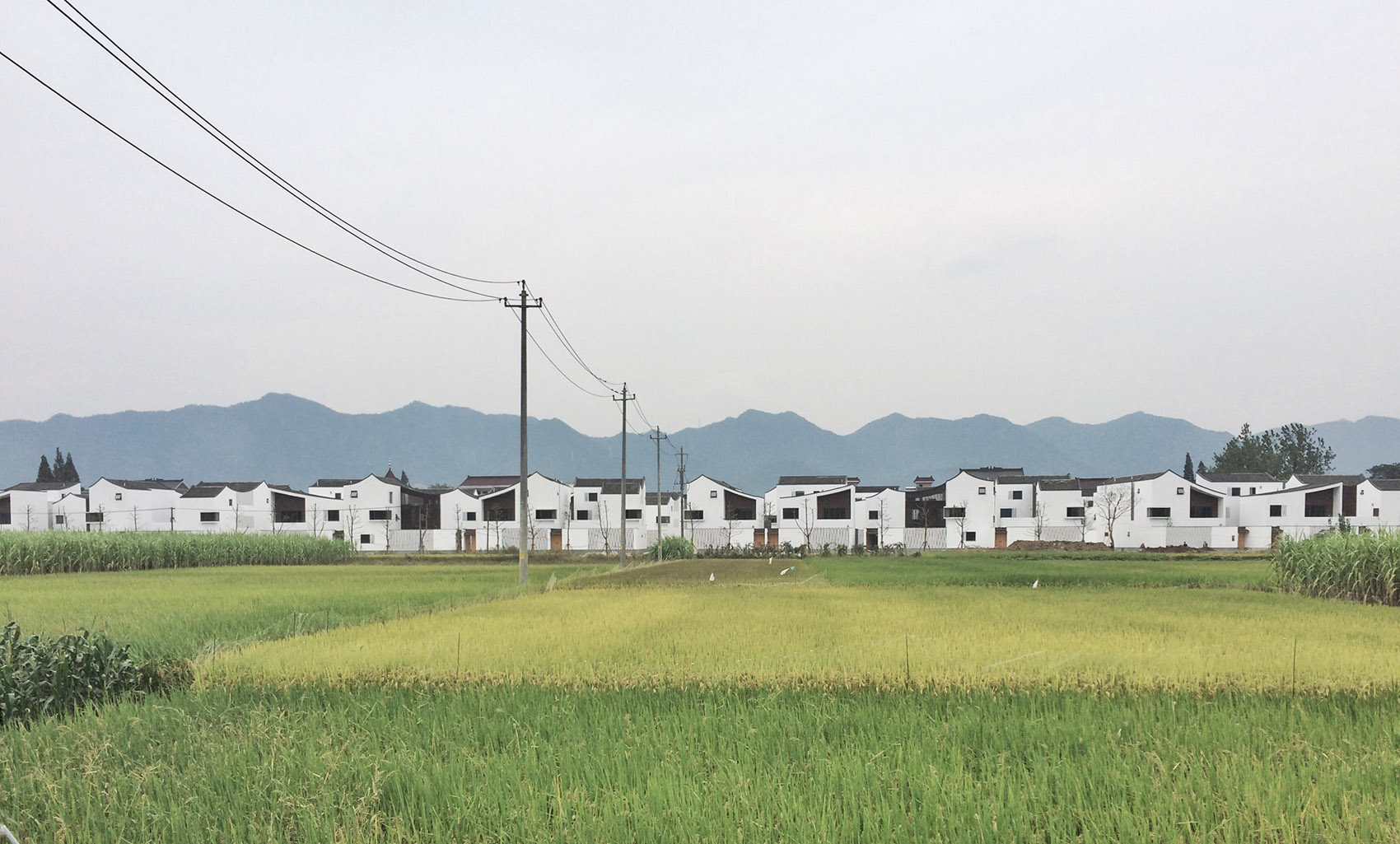 Contemporary Rural Cluster – Dongziguan Affordable Housing for ...