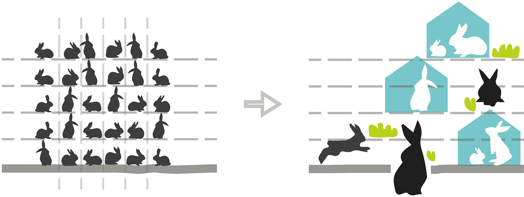 Cheongdam, March Rabbit, Seoul by Kim Dong-jin and L’EAU design - 谷德设计网