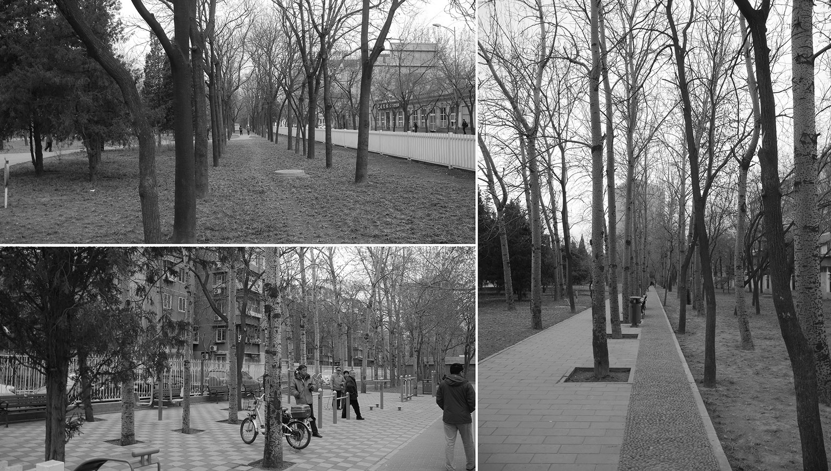 Reconstruction of Urban Shelter Forest Landscape, China / Beijing ...
