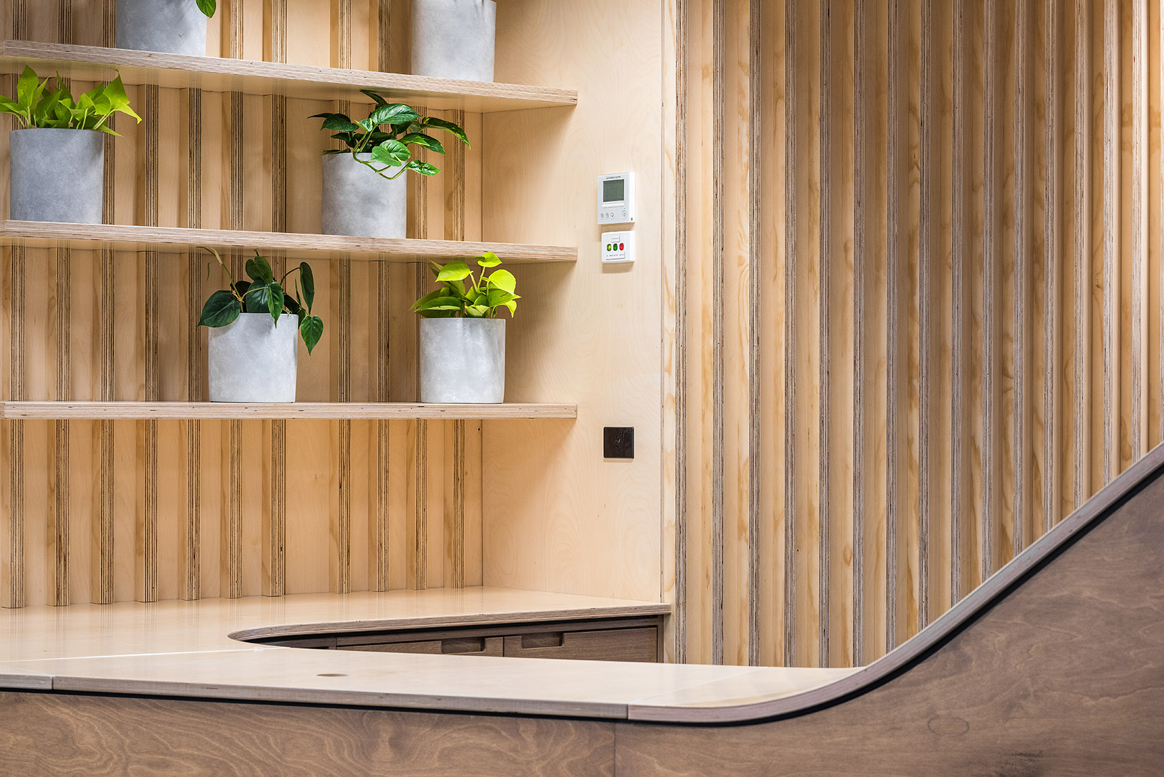 The Commons Cowork,South Melbourne By Siren Design Group Pty Ltd - 谷德设计网