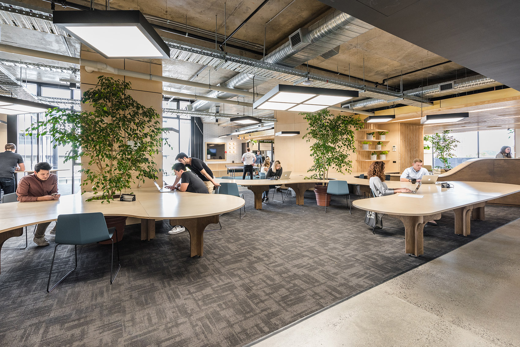 The Commons Cowork,South Melbourne By Siren Design Group Pty Ltd - 谷德设计网