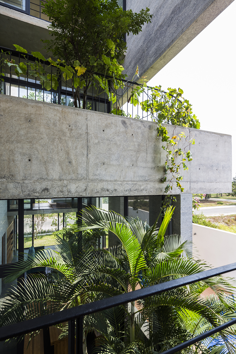 Binh House By VTN Architects (Vo Trong Nghia Architects) - 谷德设计网