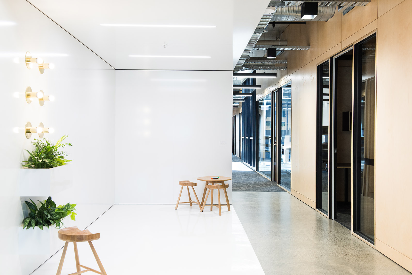 The Commons Cowork,South Melbourne By Siren Design Group Pty Ltd - 谷德设计网
