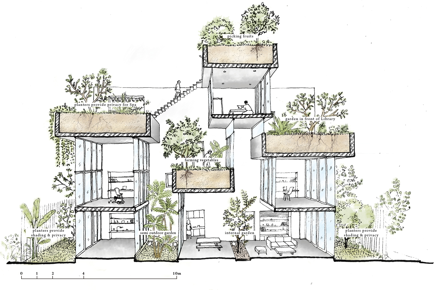 Binh House By VTN Architects (Vo Trong Nghia Architects) - 谷德设计网