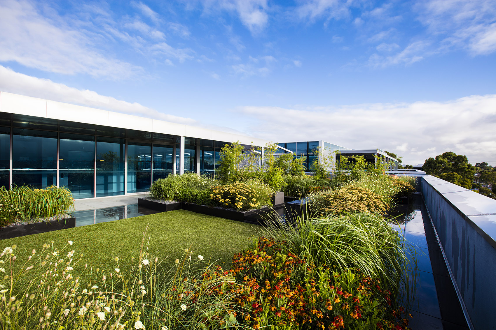 Pentana Solutions 屋顶花园，澳大利亚墨尔本 / Ian Barker Gardens - 谷德设计网