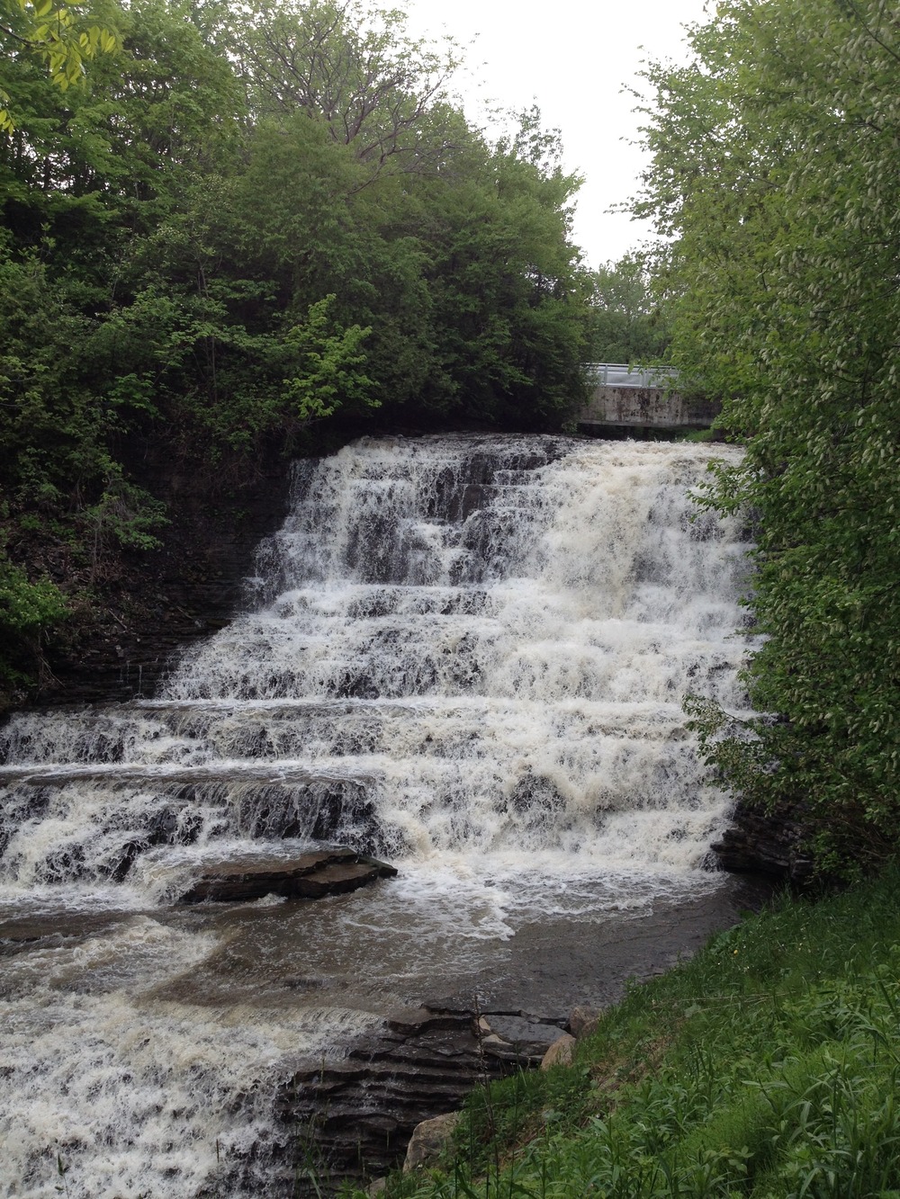 Reinventing our Rivers: Call for Ideas, Landscape Architecture ...