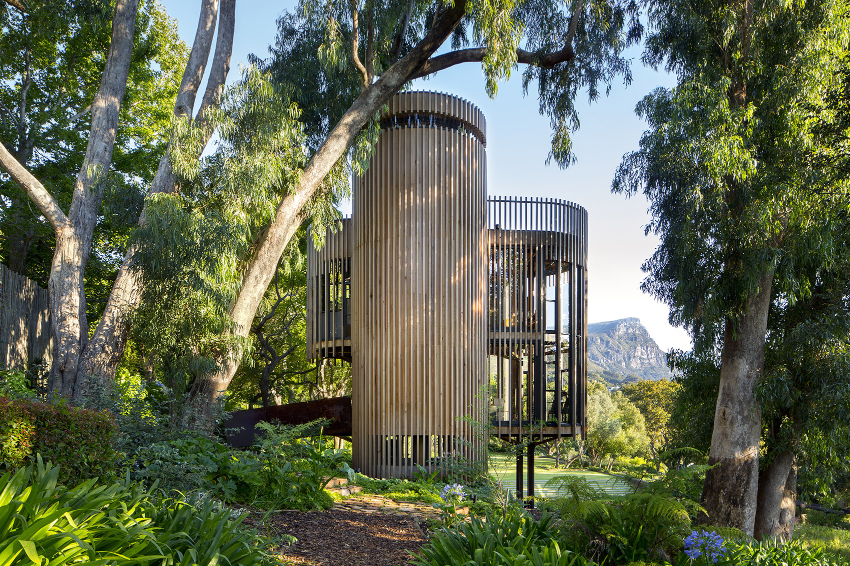 House Paarman Tree House by Malan Vorster - 谷德设计网