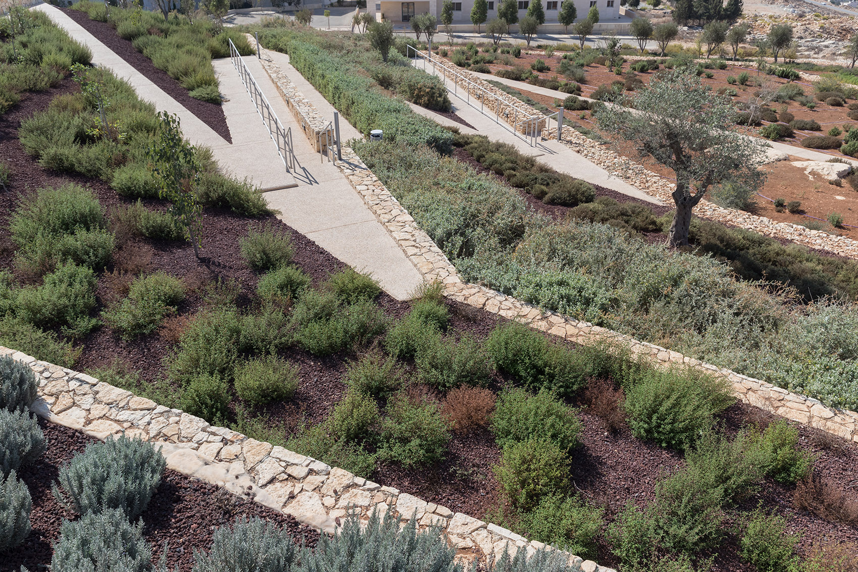 The Palestinian Museum, West Bank, Palestine by Heneghan Peng ...