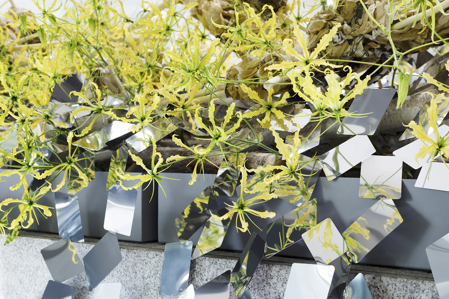 Kaleidoscopic Ivy, Installation of “ivy of mirrors” for Japanese flower ...
