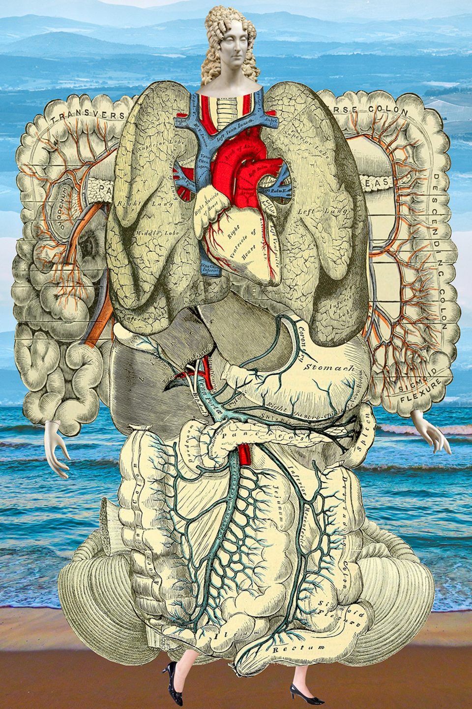 The Catalogue of Imaginary Beings by JOHANNA GOODMAN Illustration - 谷德设计网