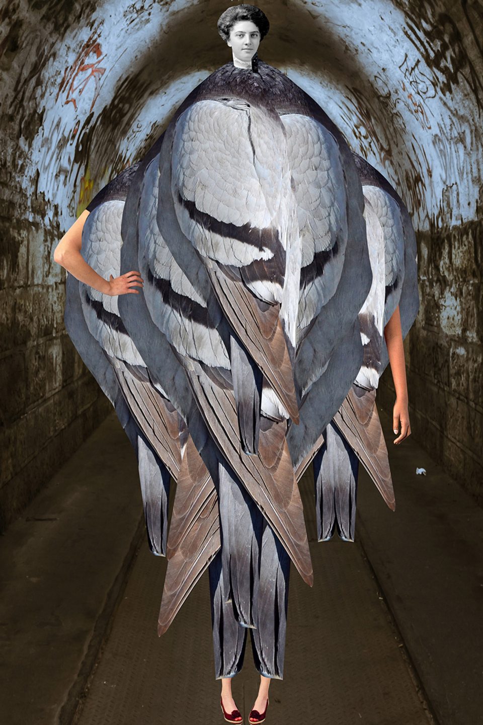 The Catalogue of Imaginary Beings by JOHANNA GOODMAN Illustration - 谷德设计网