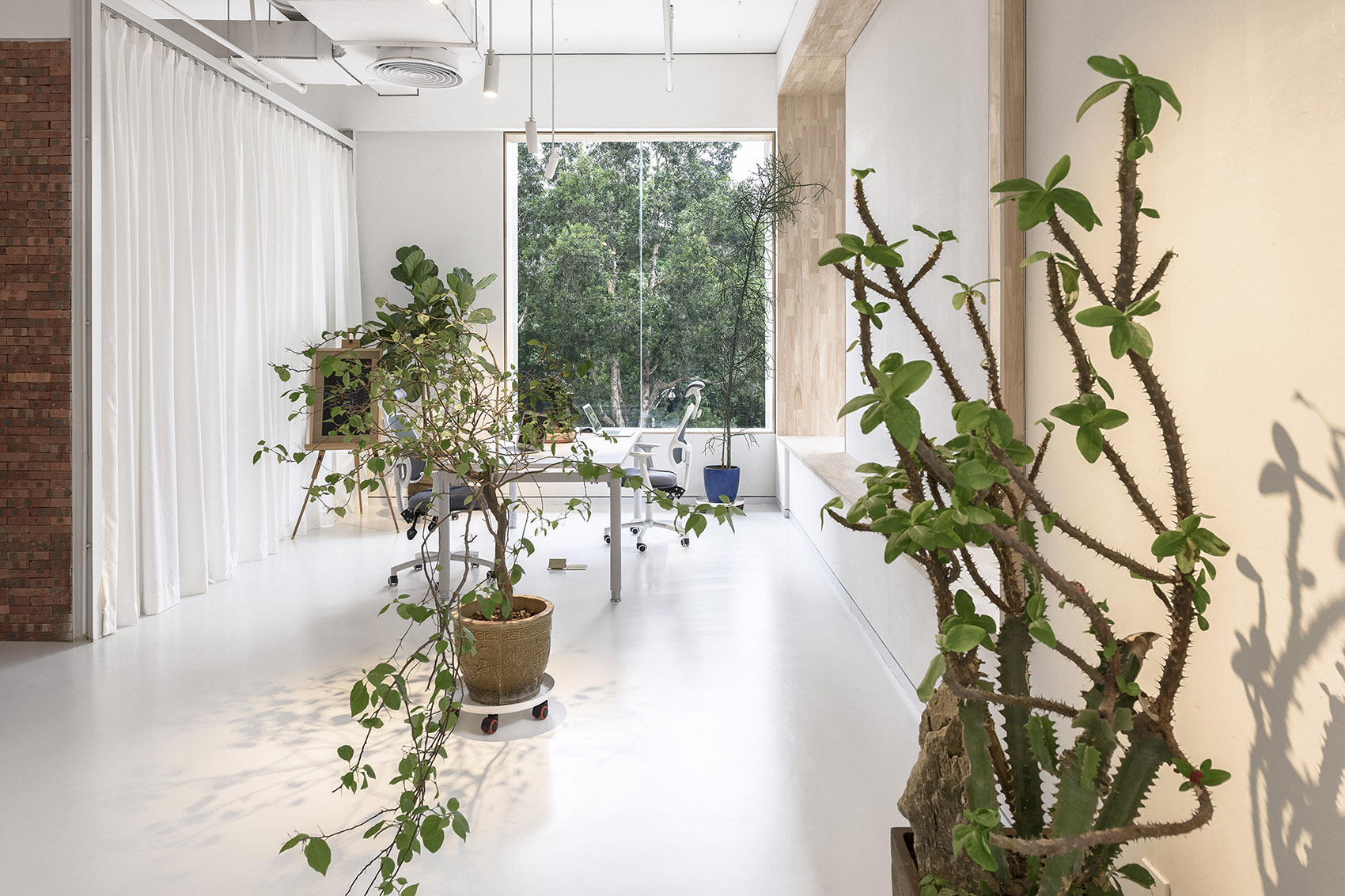 ”White” Design By Bloom Design Studio - 谷德设计网