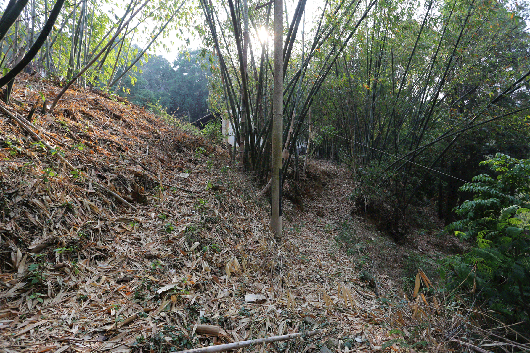 An Introduction to the Xiushan Temple Environmental By QAD - 谷德设计网