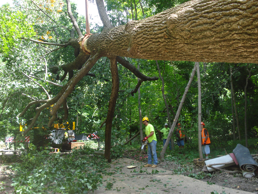Chop Stick, Indiana, United States by Anders Berensson Architects - 谷德设计网