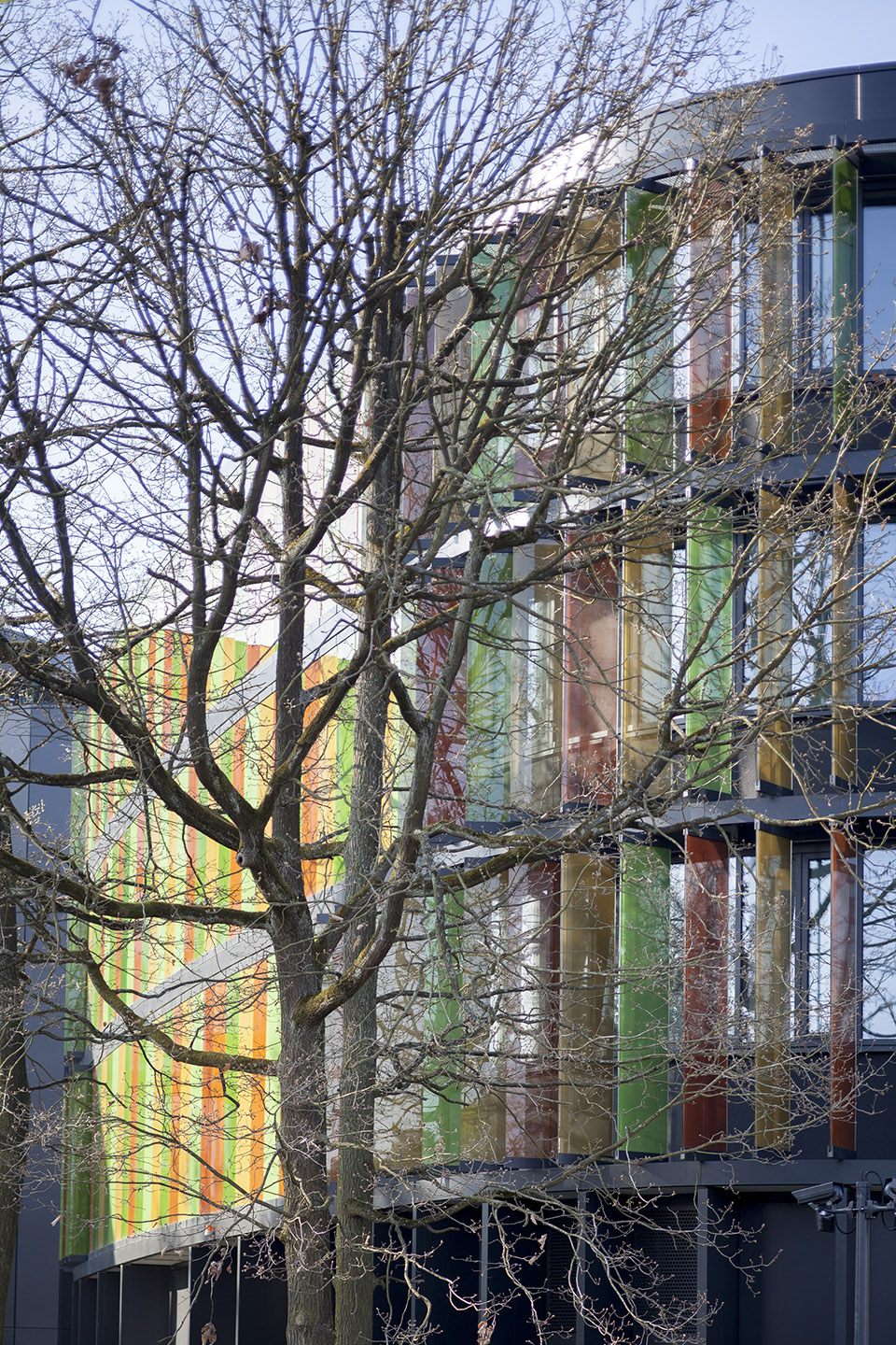 DZNE German Center for Neurodegenerative Diseases in Bonn by wulf ...