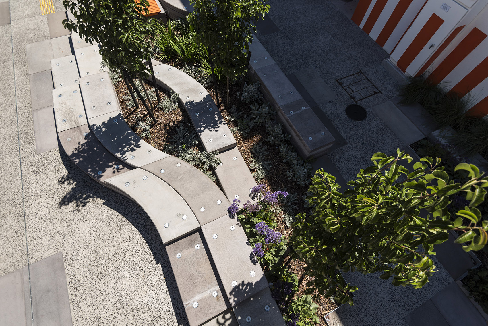 Morgan Court landscape design by Enlocus - 谷德设计网