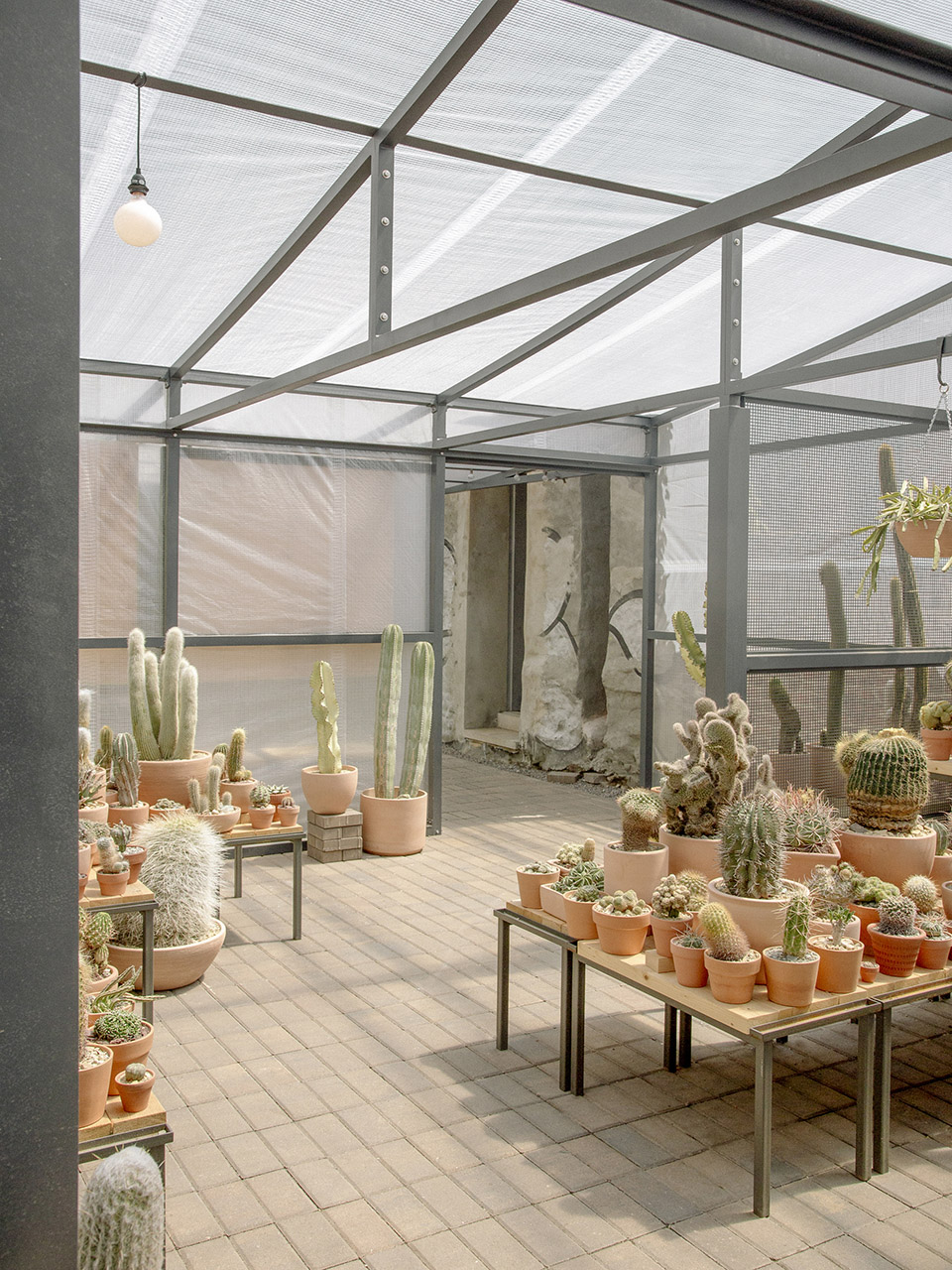New York Greenhouse By Part Office + Cactus Store - 谷德设计网