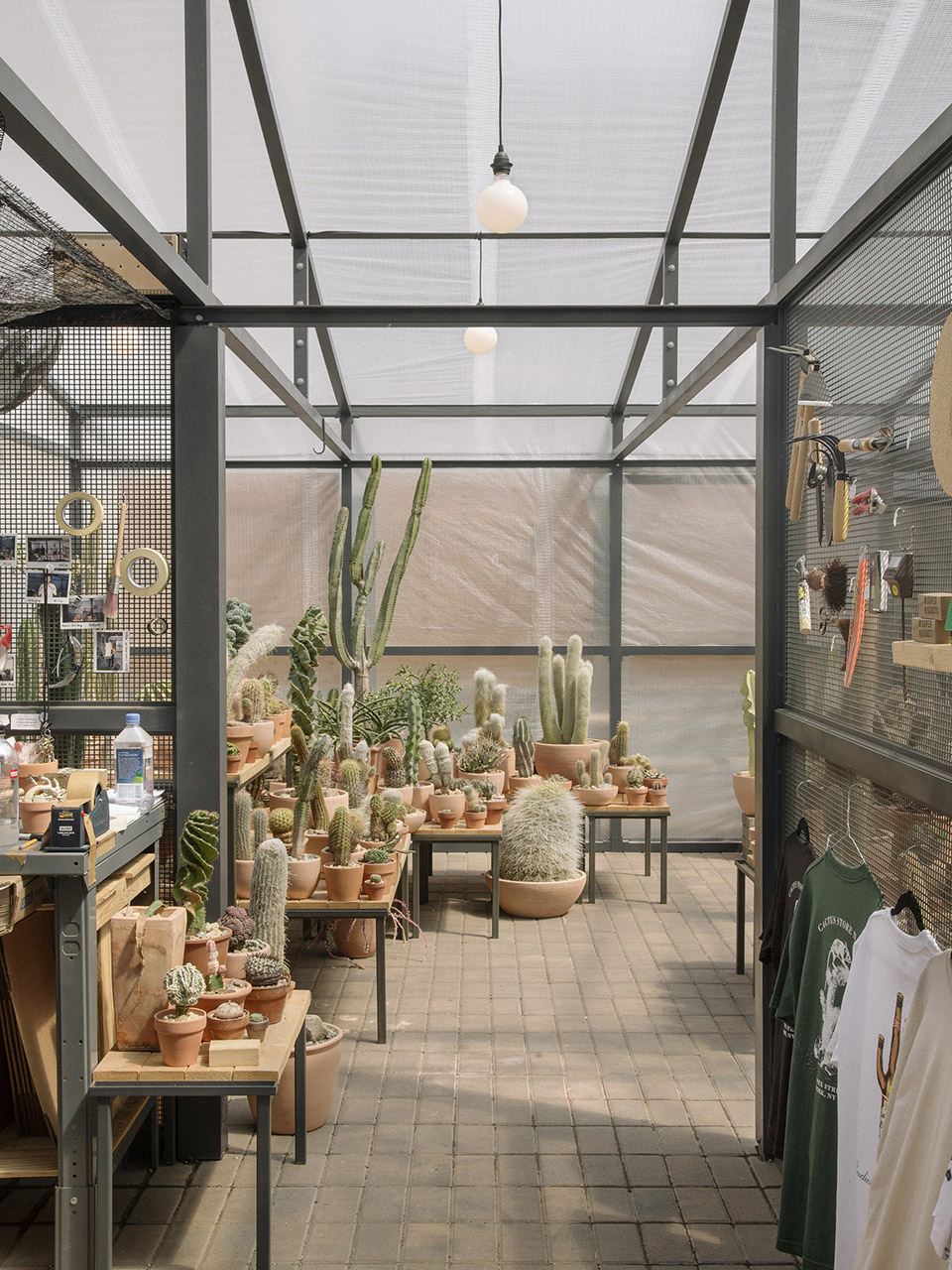 New York Greenhouse By Part Office + Cactus Store - 谷德设计网