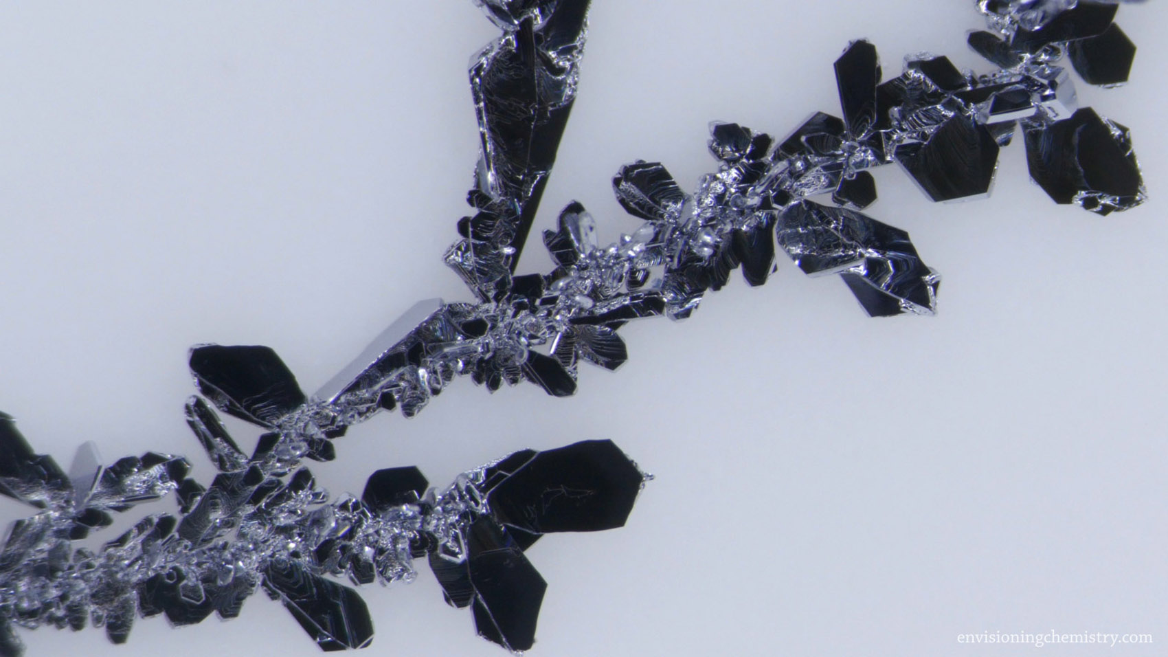 Envisioning Chemistry by Wenting Zhu – Beauty of Science - 谷德设计网