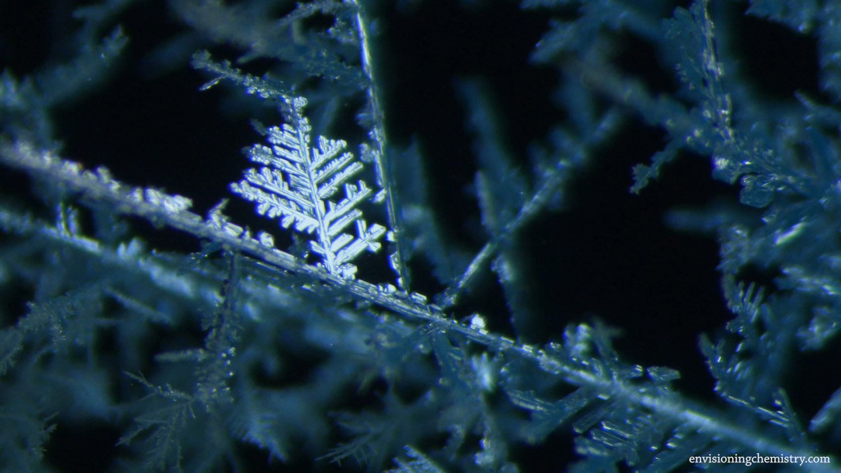 Envisioning Chemistry by Wenting Zhu – Beauty of Science - 谷德设计网