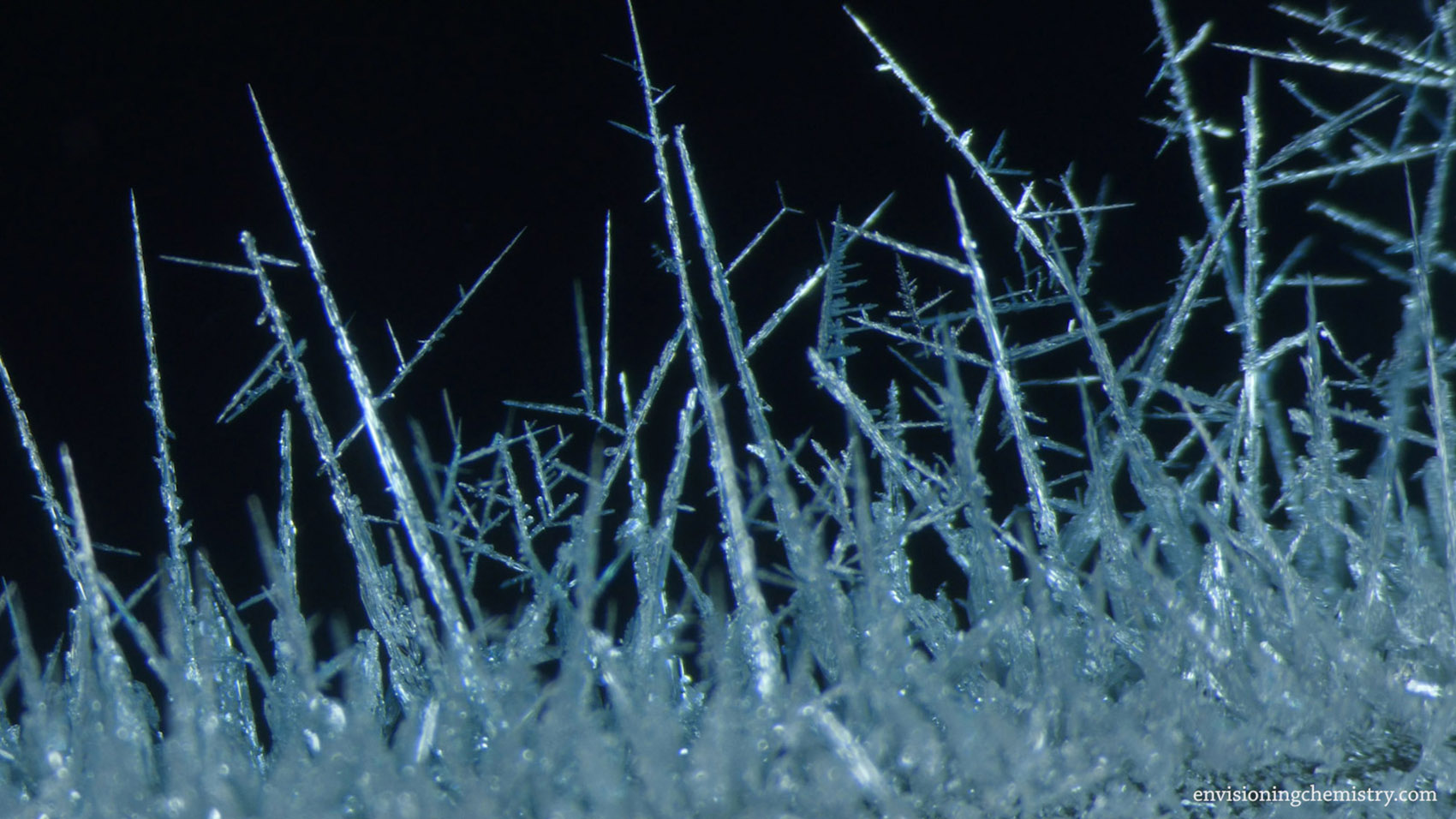 Envisioning Chemistry by Wenting Zhu – Beauty of Science - 谷德设计网