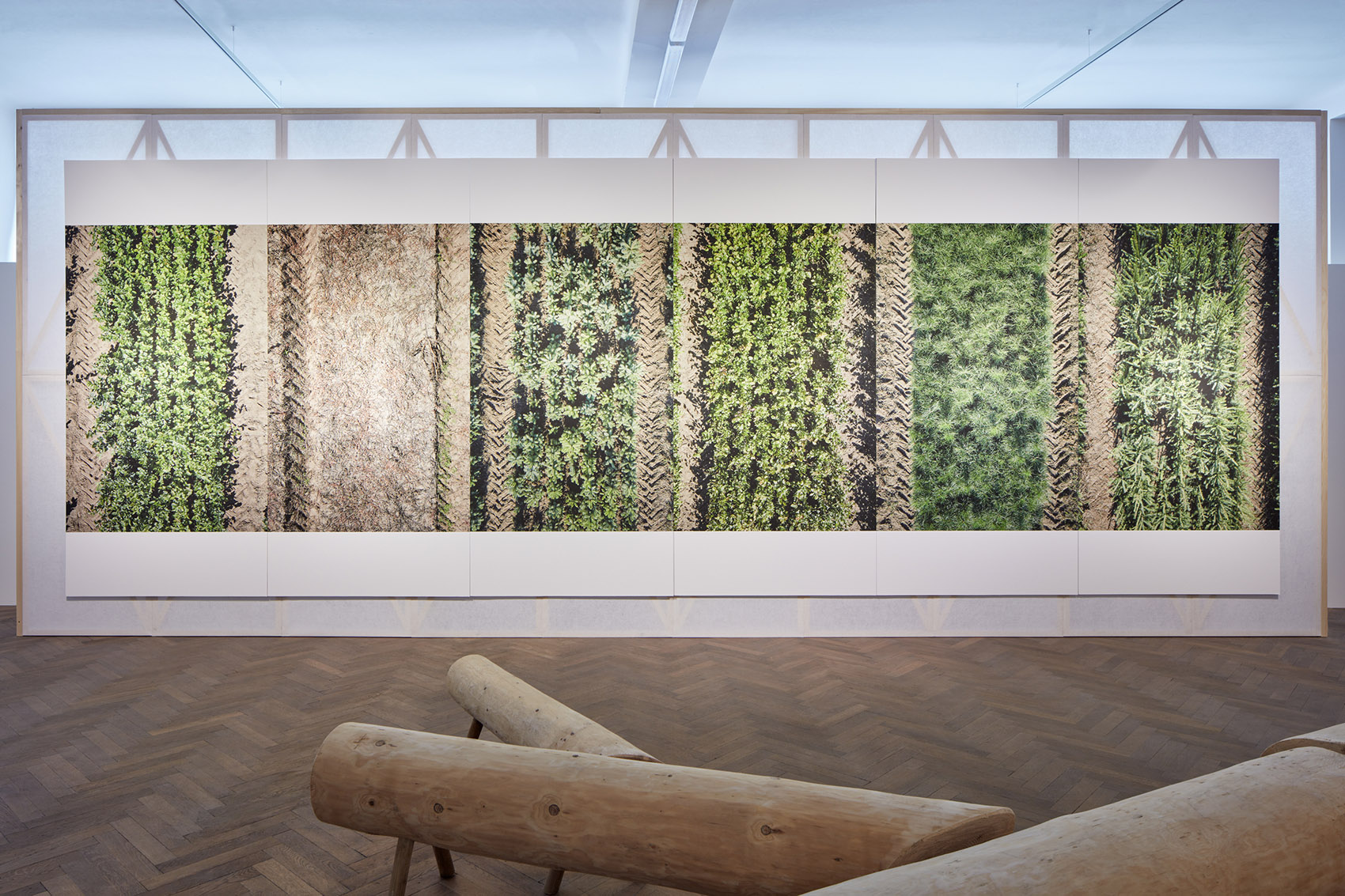 “Making of a Forest” exhibition design by Mjölk architekti - 谷德设计网