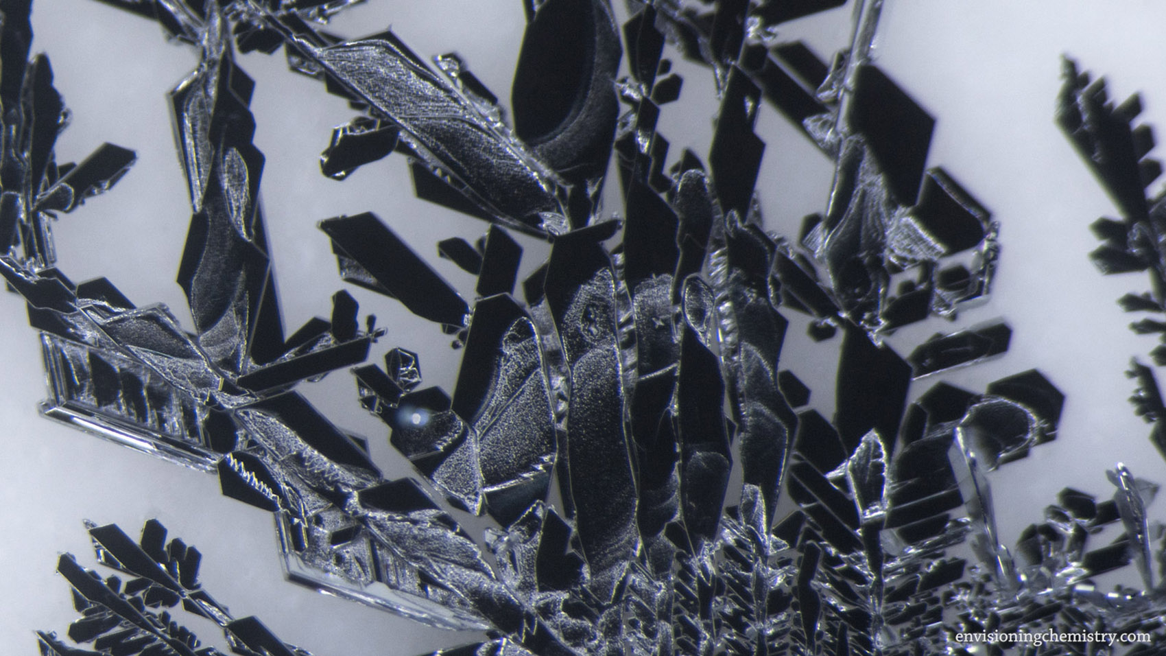 Envisioning Chemistry by Wenting Zhu – Beauty of Science - 谷德设计网