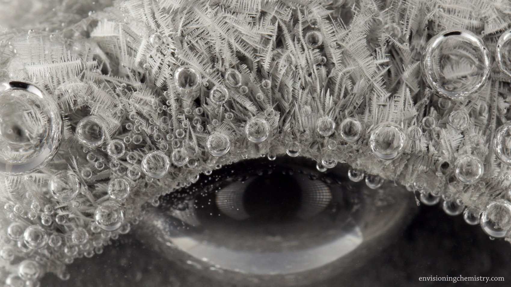 Envisioning Chemistry by Wenting Zhu – Beauty of Science - 谷德设计网