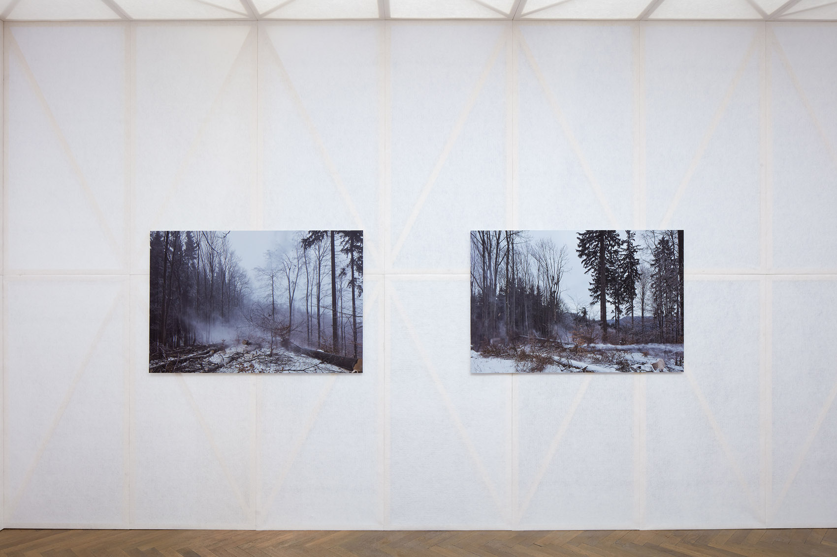 “Making of a Forest” exhibition design by Mjölk architekti - 谷德设计网