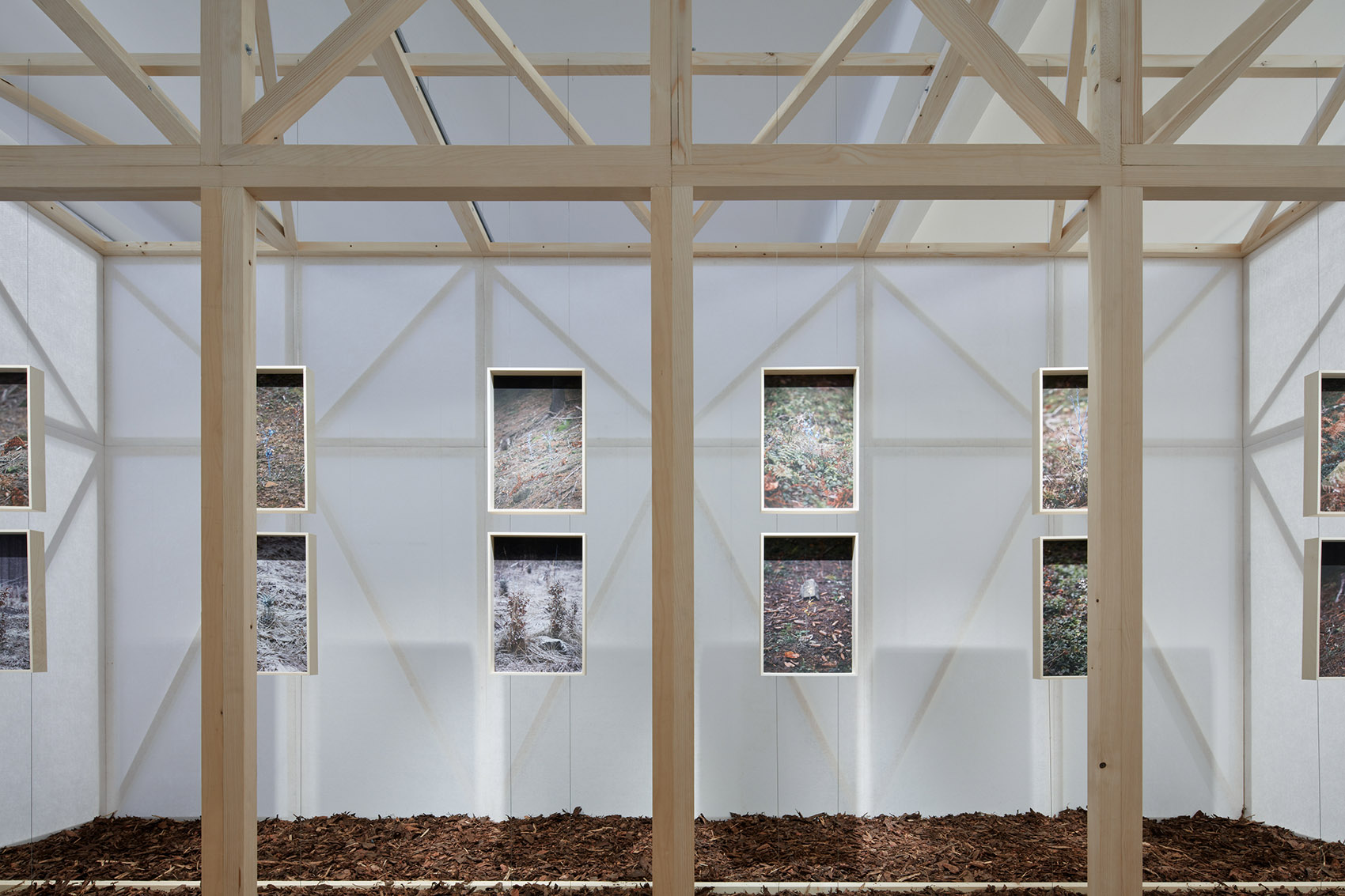 “Making of a Forest” exhibition design by Mjölk architekti - 谷德设计网