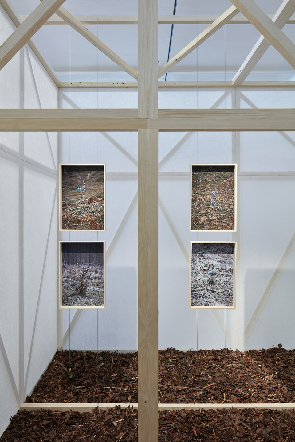 “Making of a Forest” exhibition design by Mjölk architekti - 谷德设计网