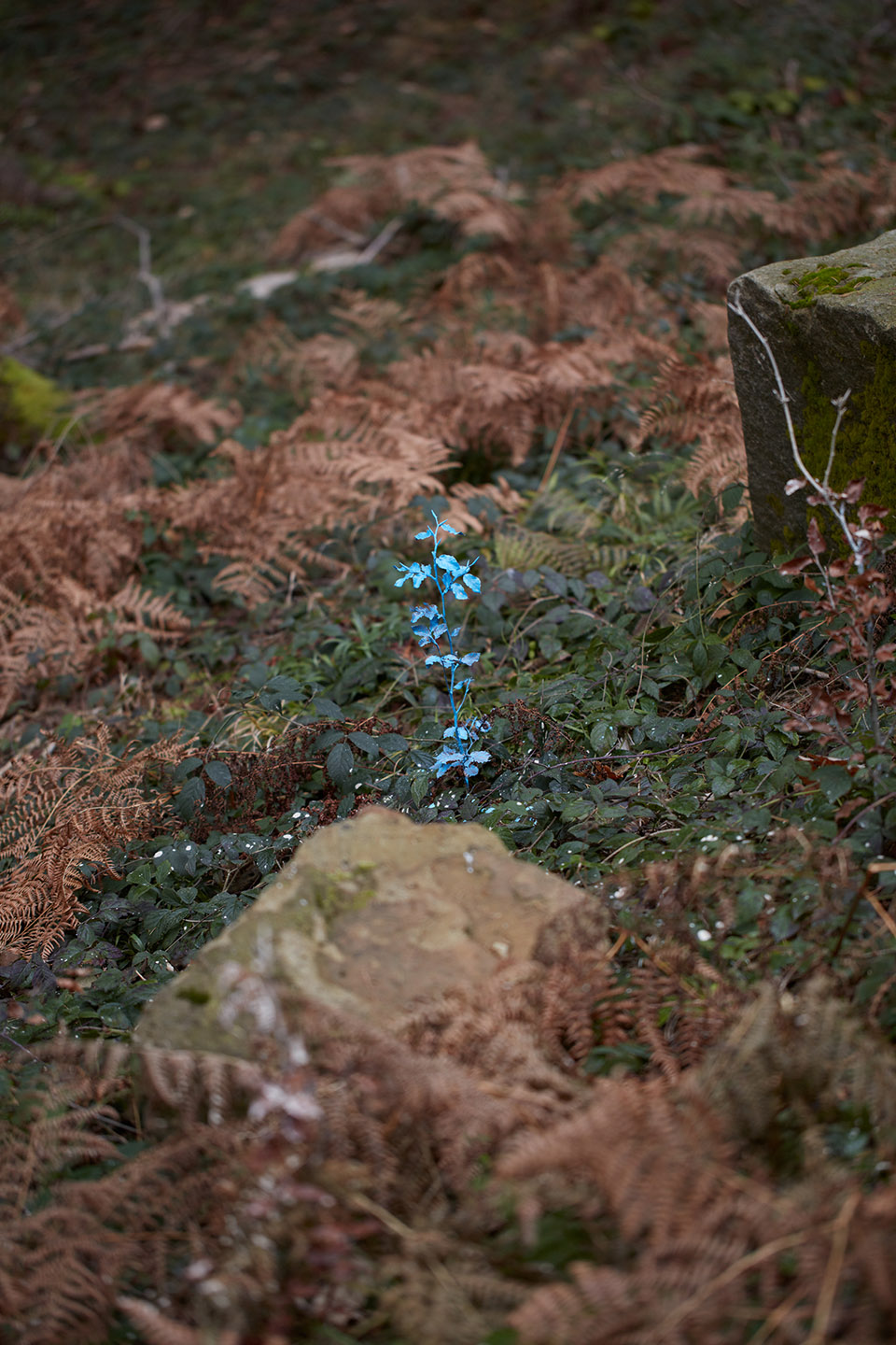“Making of a Forest” exhibition design by Mjölk architekti - 谷德设计网