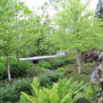 2017 ASLA RESIDENTIAL DESIGN HONOR AWARD Northeast Harbor, a ...