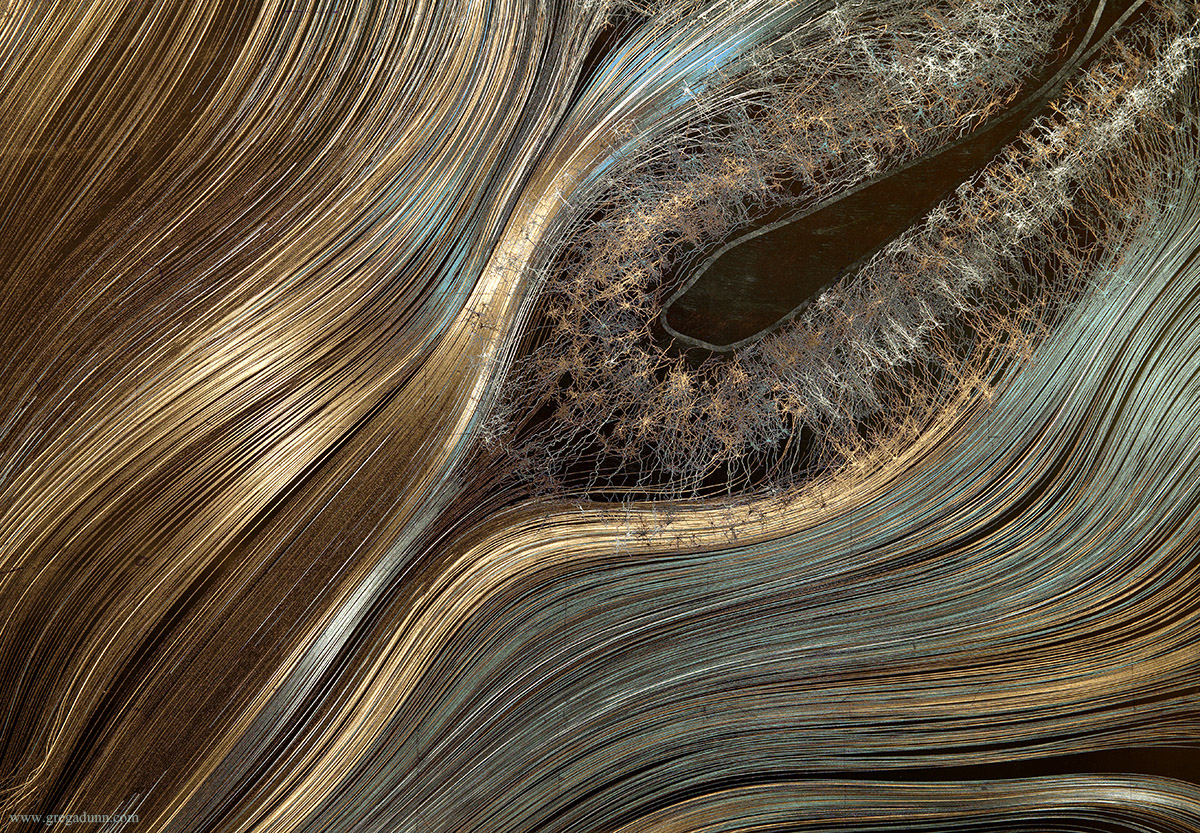 Self Reflected by Greg Dunn - 谷德设计网