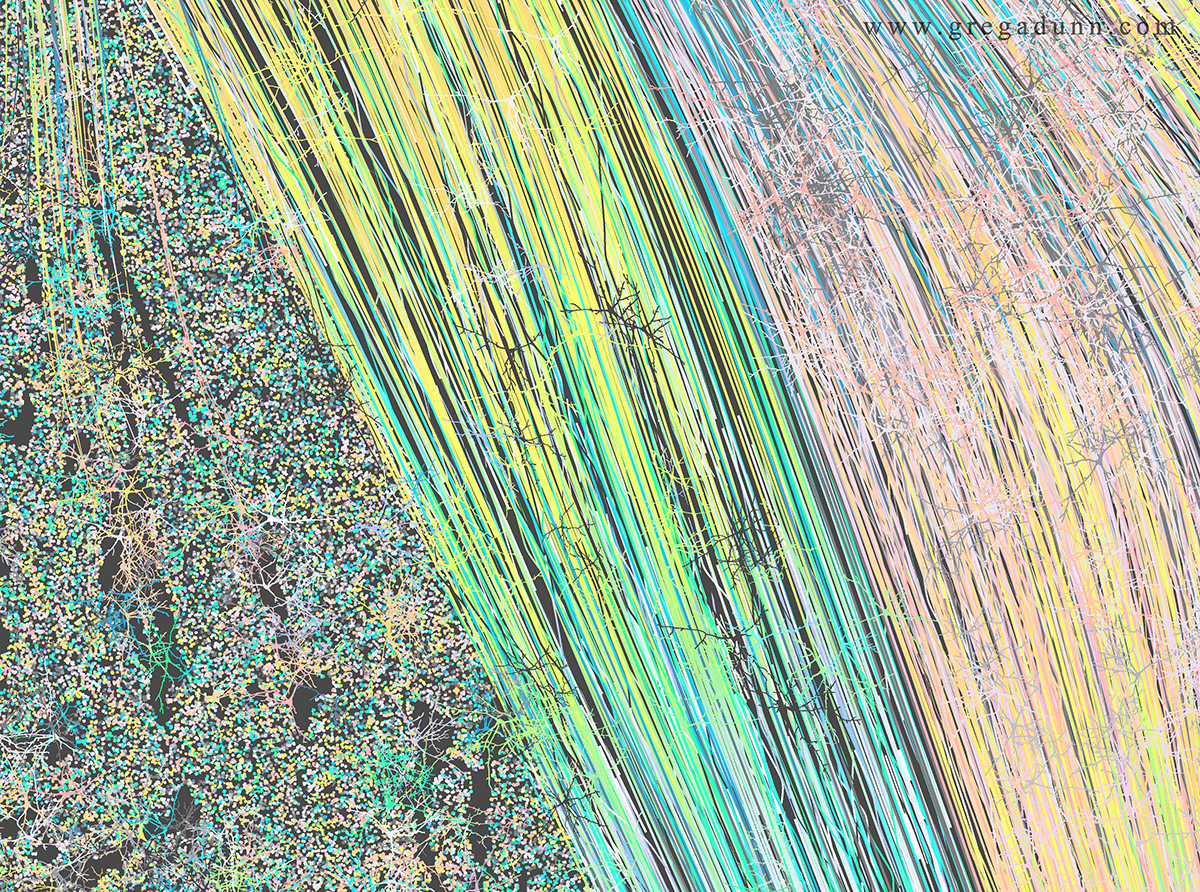 Self Reflected by Greg Dunn - 谷德设计网