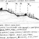 2017 ASLA RESIDENTIAL DESIGN HONOR AWARD Northeast Harbor, a ...