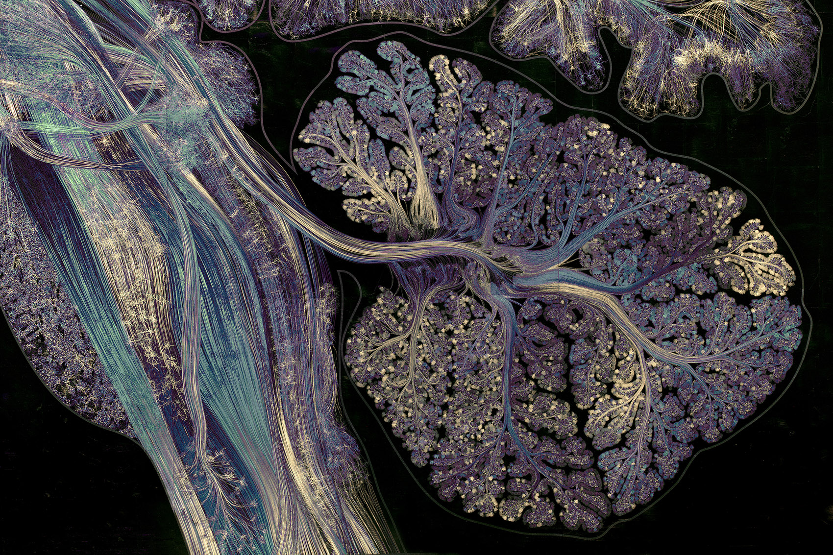 Self Reflected by Greg Dunn - 谷德设计网