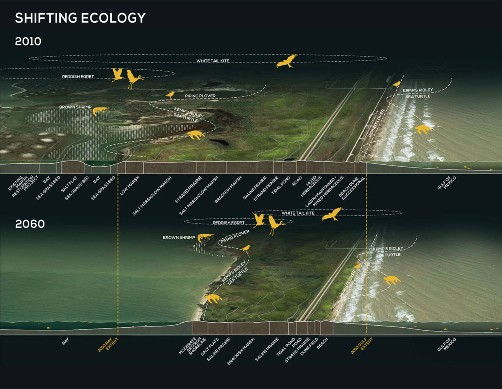 2017 ASLA ANALYSIS AND PLANNING AWARD OF EXCELLENCE：Storm + Sand + Sea ...