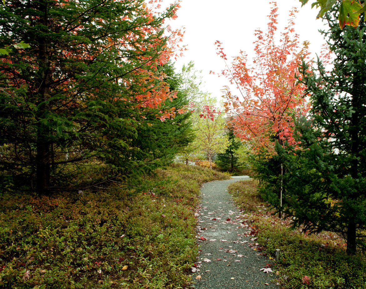 2017 ASLA RESIDENTIAL DESIGN HONOR AWARD Northeast Harbor, a ...