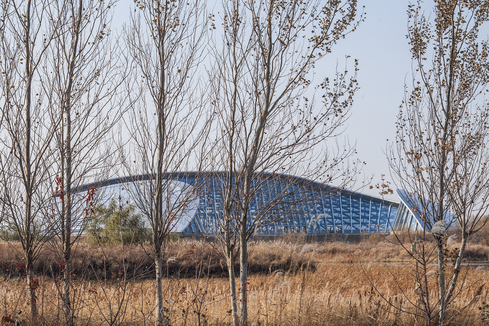 Beidahuang Ecological Park, China by The 1st Original Design Studio ...