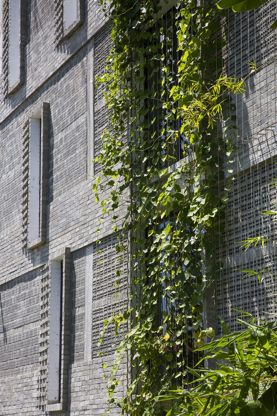 The Modern Village Office by Ho Khue Architects - 谷德设计网