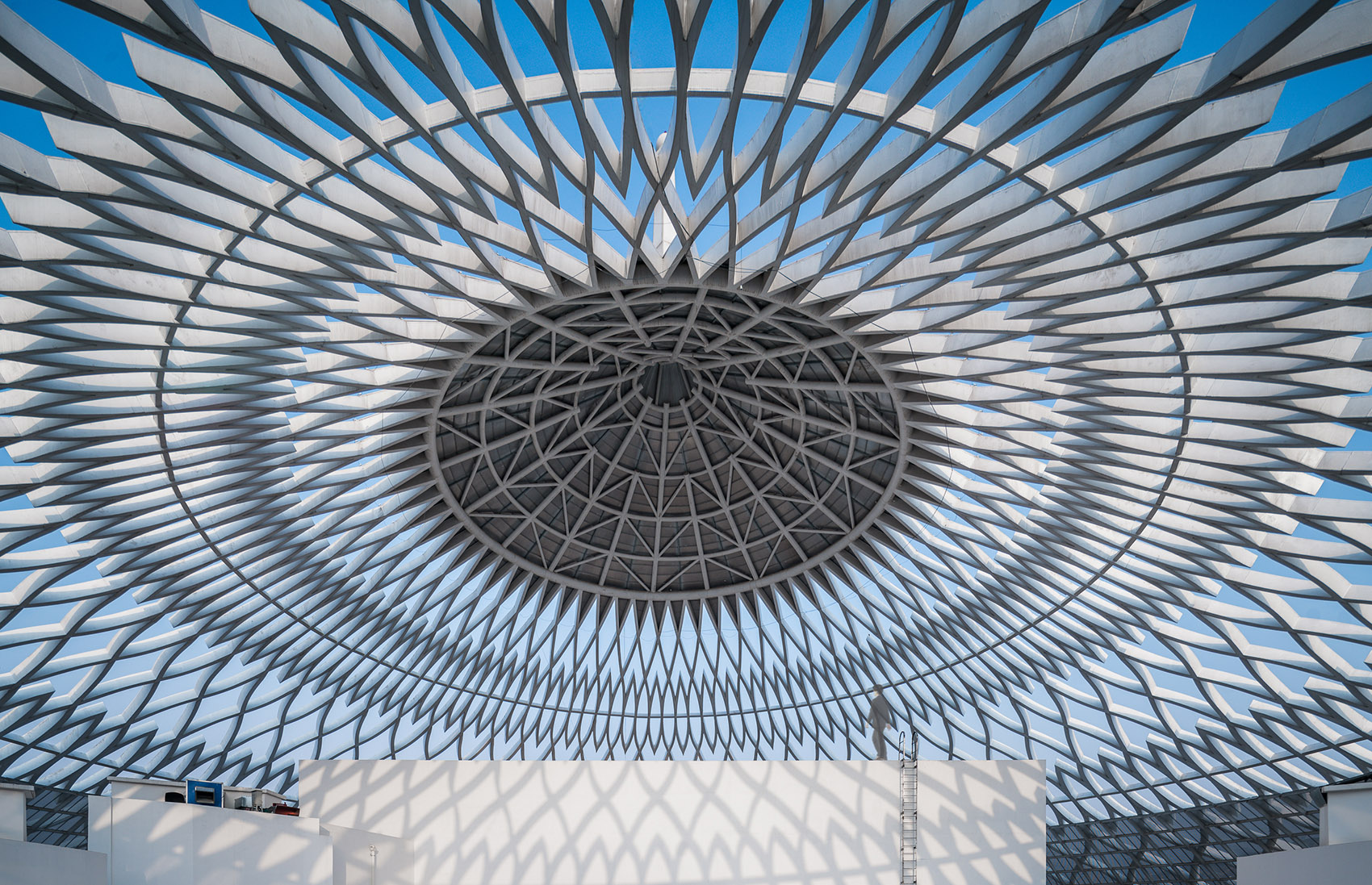 ”Dome of the Flower” – Linxia National Grand Theater by DUTStudio - 谷德设计网
