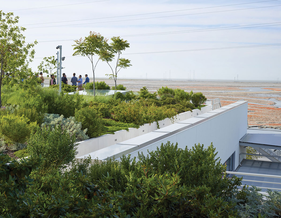 2017 ASLA GENERAL DESIGN AWARD OF HONOR: Workplace as Landscape ...