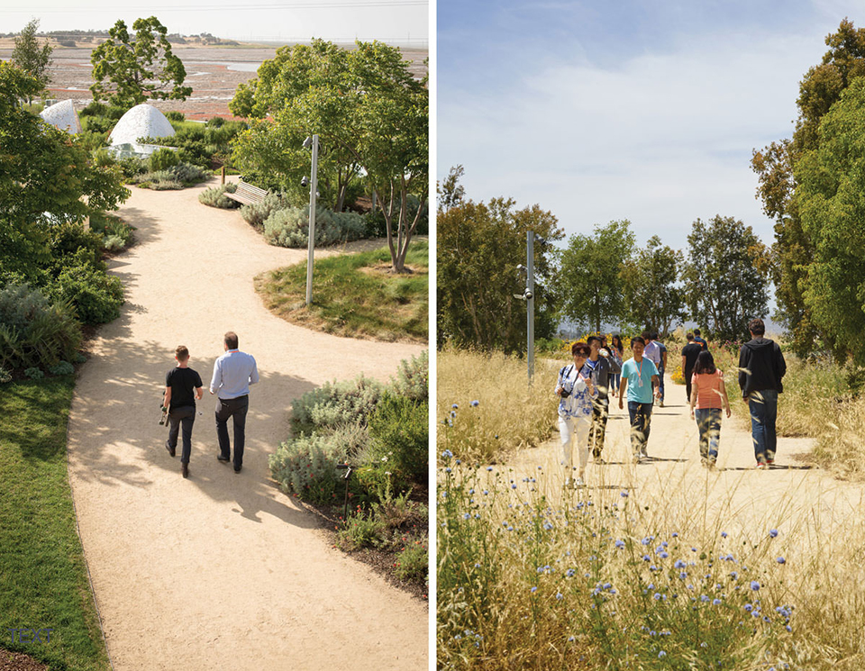 2017 ASLA GENERAL DESIGN AWARD OF HONOR: Workplace as Landscape ...