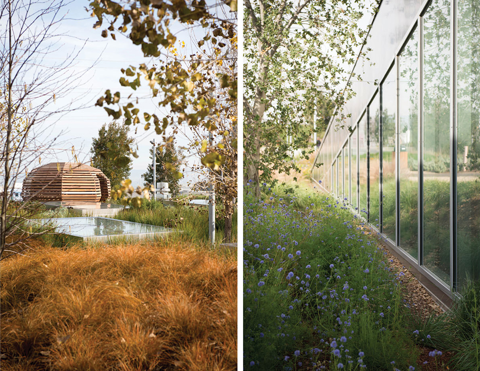 2017 ASLA GENERAL DESIGN AWARD OF HONOR: Workplace as Landscape ...