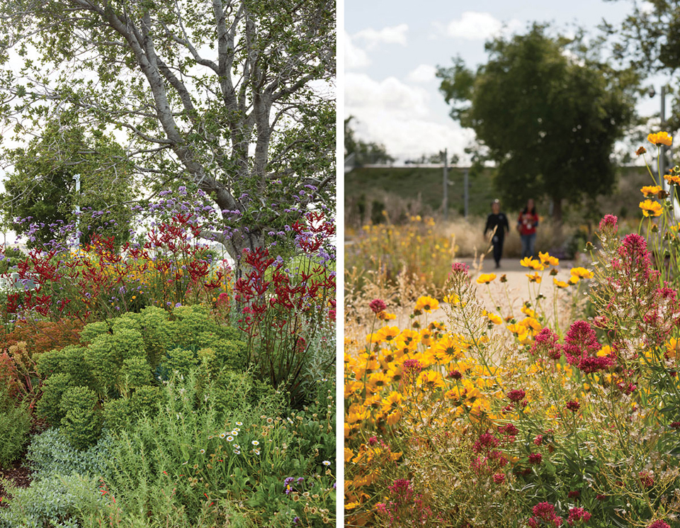 2017 ASLA GENERAL DESIGN AWARD OF HONOR: Workplace as Landscape ...