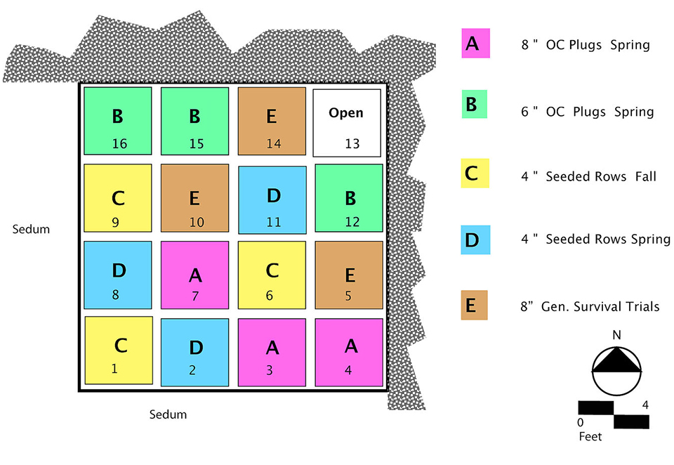 2017 ASLA RESEARCH AWARD OF HONOR: Seeding Green Roofs for Greater ...