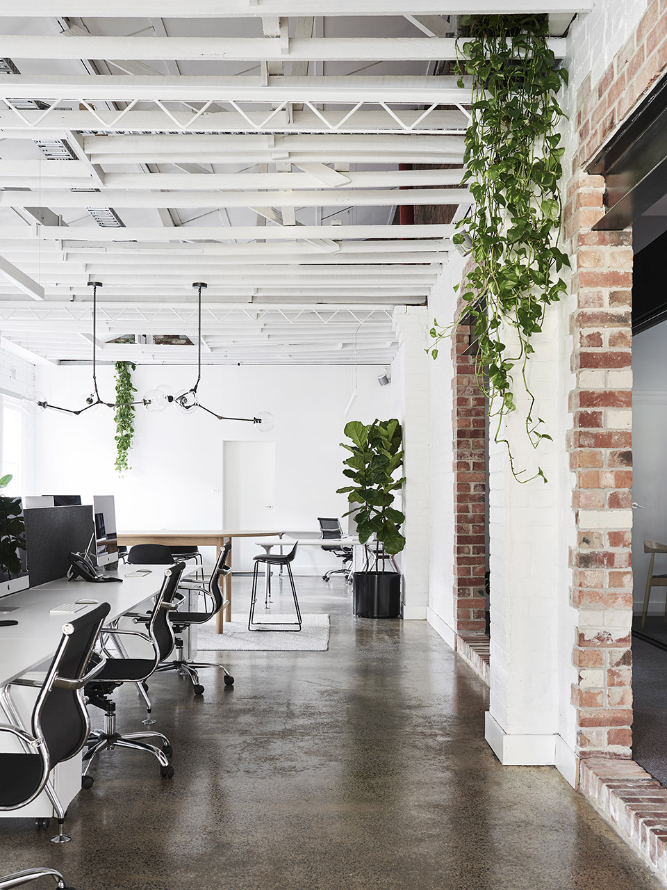 DWA NBD Studio, Melbourne , Australia by Dan Webster Architecture - 谷德设计网