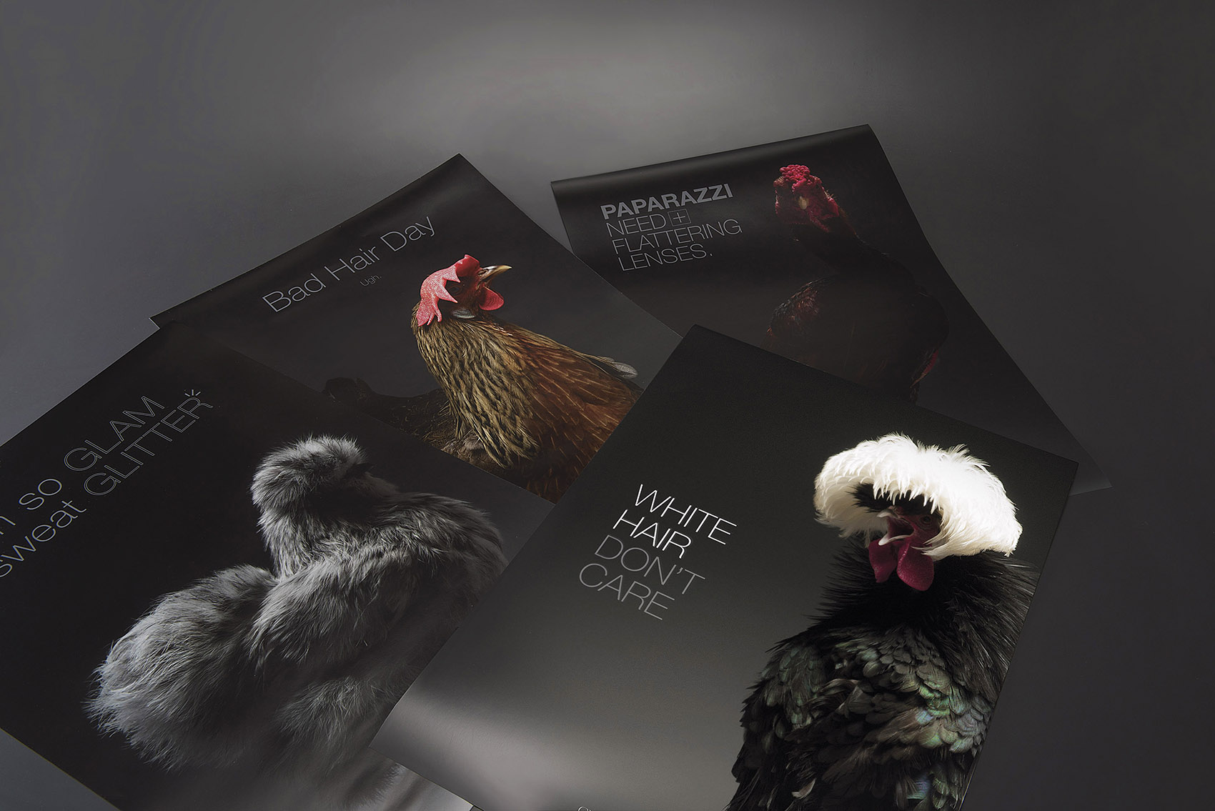 The CHICken book, Italy by Moreno Monti & Matteo Tranchellini - 谷德设计网