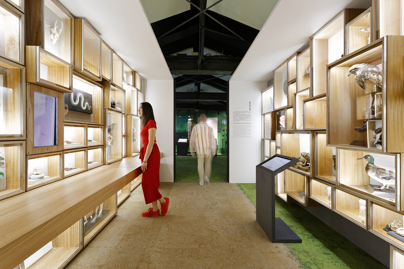 ‘Discovering Taiwan’ – Permanent exhibition at National Taiwan Museum ...